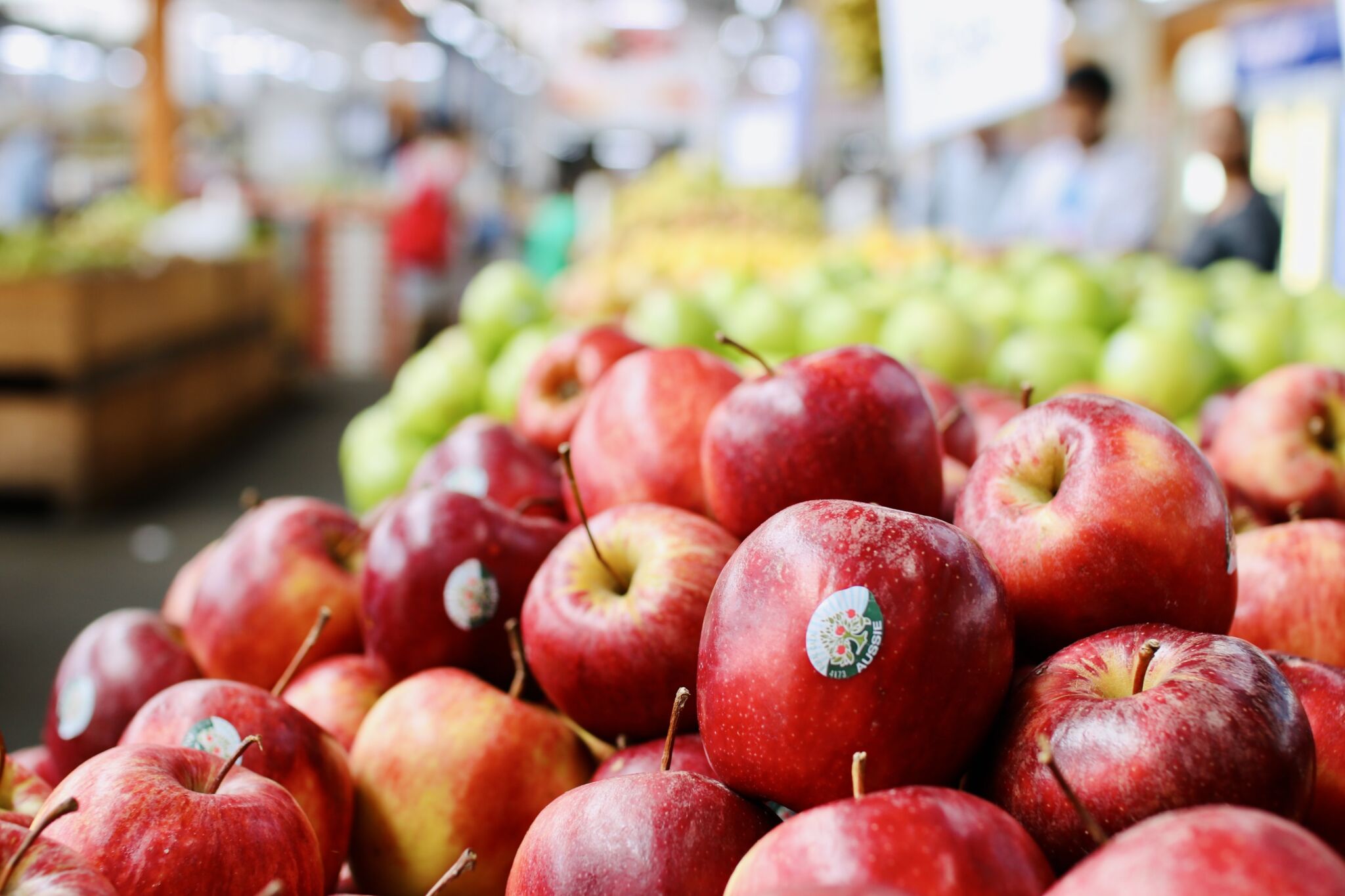 Cooperative Programs - Central Indiana Educational Service Center